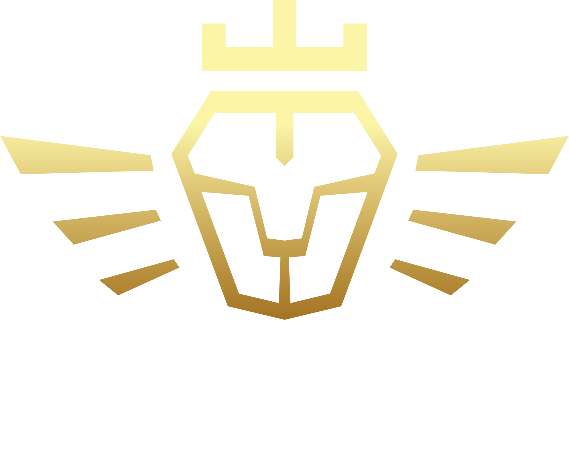 Store - LionsMatrix